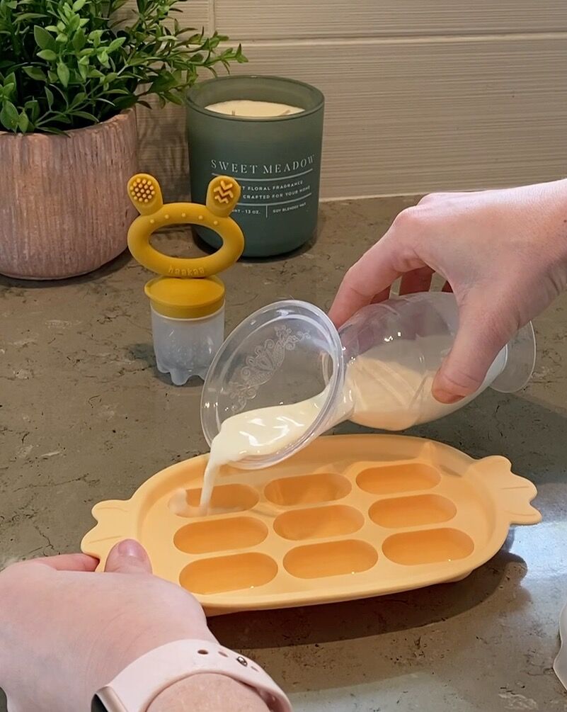 Silicone Nibble Tray | Haakaa